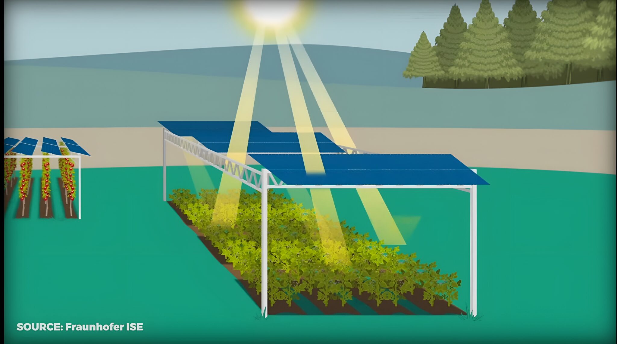 Bifacial Solar Panels Explained: All You Need to Know